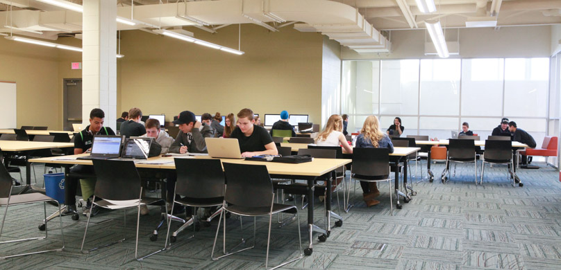 Learning Commons Library Discovering Choices